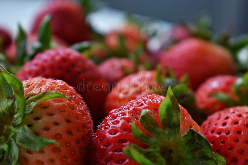 Fresas rojas imagen de archivo. Imagen de frente, tomado - 120741303