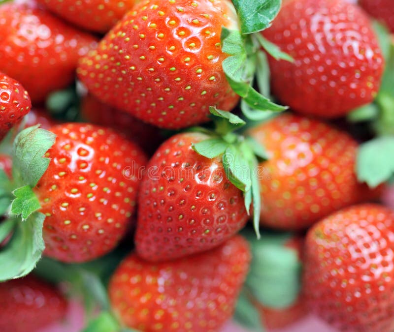 Fresas rojas imagen de archivo. Imagen de postre, grupo - 23020571