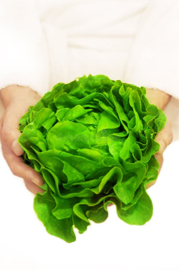 Freschezza - Insalata Verde Fotografia Stock - Immagine di tenuta ...