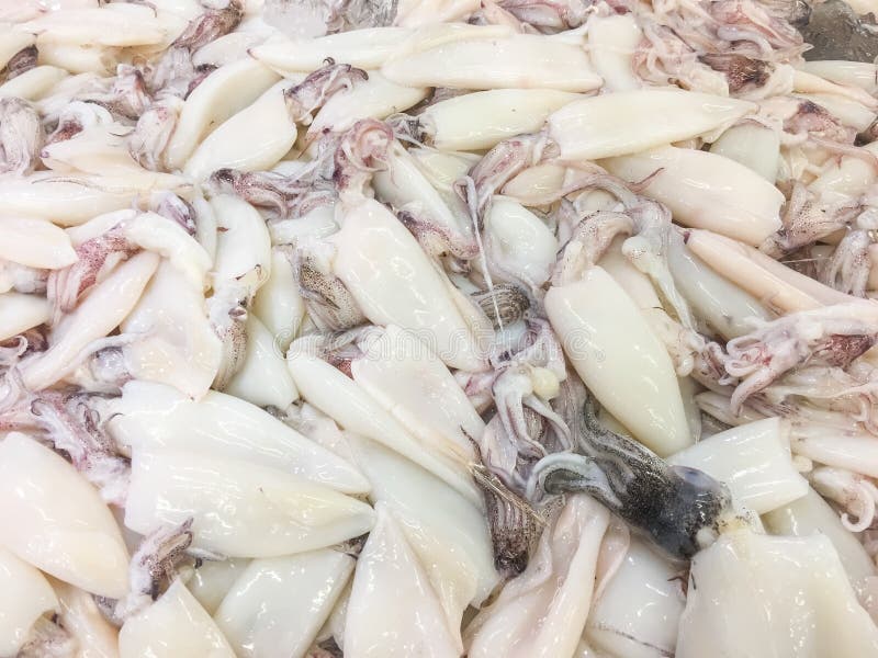 Chocos Crus E Frescos Calamar Espanhol Choco Imagem de Stock - Imagem ...