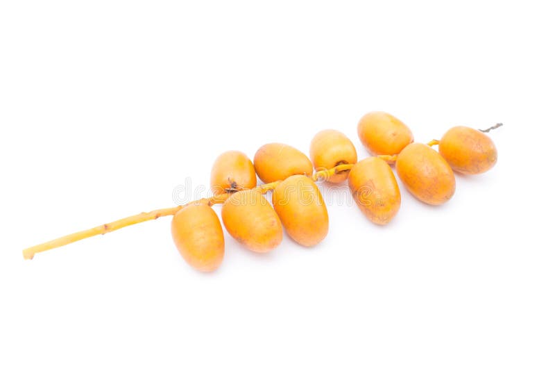 Fresco De La Palma Datilera Phoenix Dactylifera Foto de archivo ...