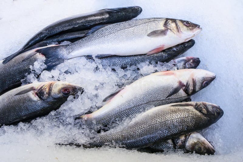 Pesce Fresco E Pezzi Tagliati Immagine Stock - Immagine di oceano ...