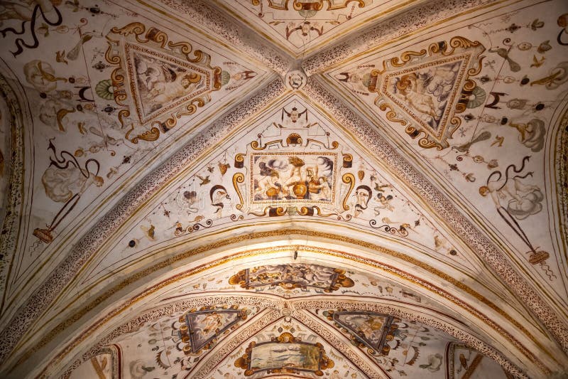 Frescoed Ceilings Inside the Castle of Grinzane Cavour, Unesco Heritage ...
