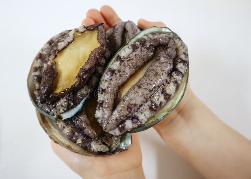 Rawabalone Stock Photos - Free & Royalty-Free Stock Photos from Dreamstime