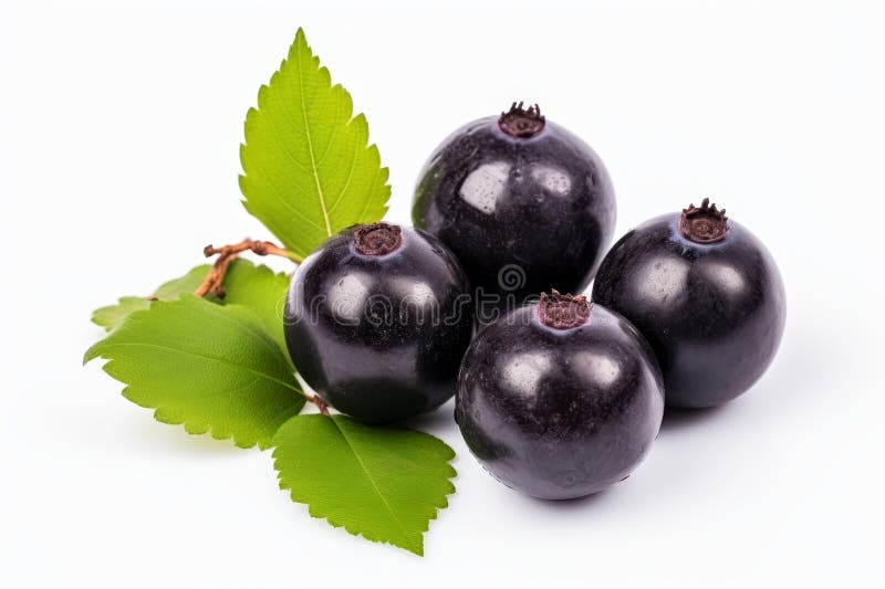Fresh Acai Fruit Isolated on White Background for Vibrant and Healthy ...