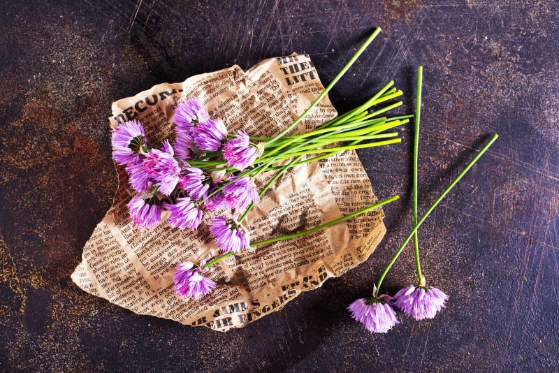 Fresh Allium Flowers on a Table Stock Photo - Image of onion, garlic ...