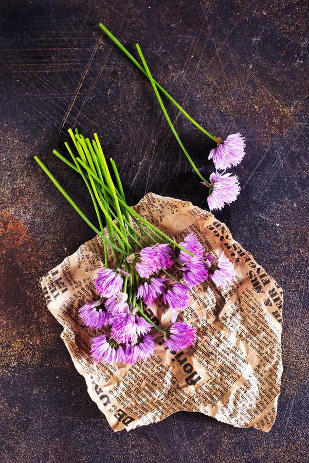 Fresh Allium Flowers on a Table Stock Photo - Image of nature, wooden ...