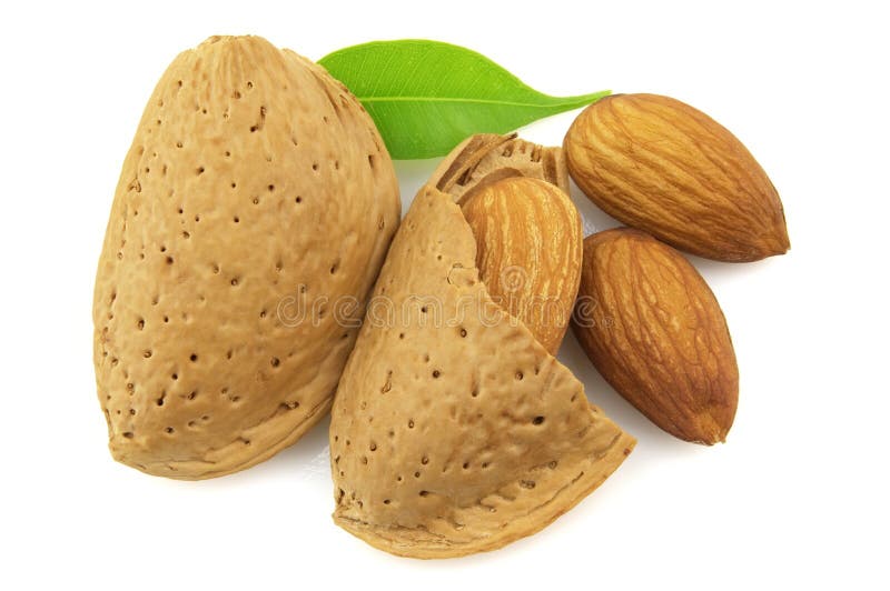 Fresh almond stock image. Image of group, closeup, sweet - 10979135