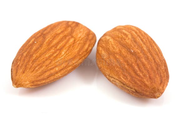 Fresh almond stock photo. Image of nutrition, organic - 8251366