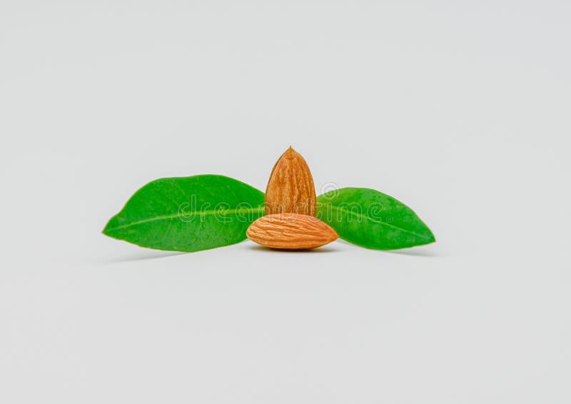 FRESH ALMOND with GREEN LEAF Stock Photo - Image of mealtime ...