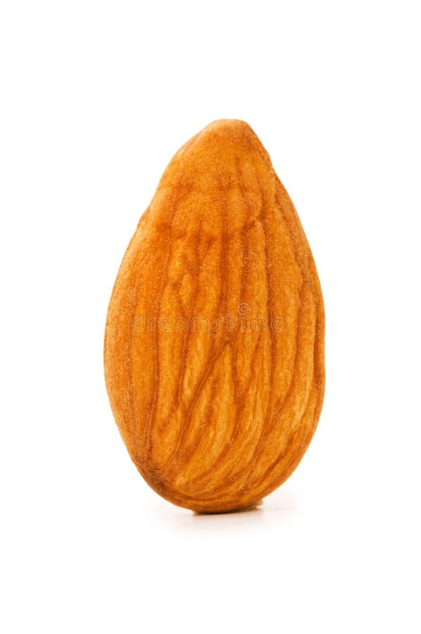 Almond stock photo. Image of protein, macro, healthy - 14941824