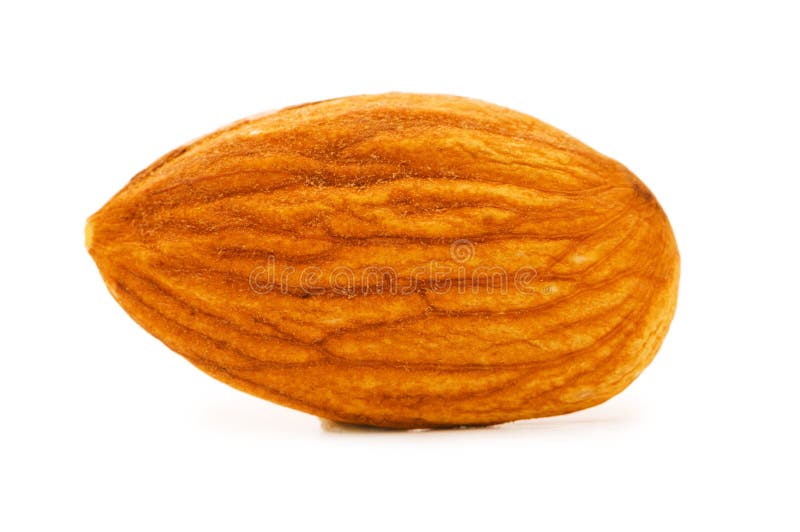 Fresh almond isolated stock image. Image of isolated, healthy - 8945385