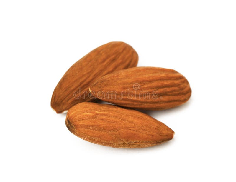 Fresh almond isolated stock photo. Image of eating, food - 118448232