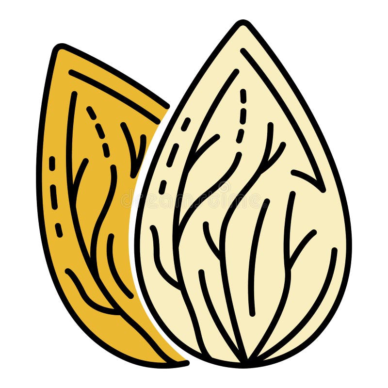 Fresh Almond Nut Icon Color Outline Vector Stock Vector - Illustration ...