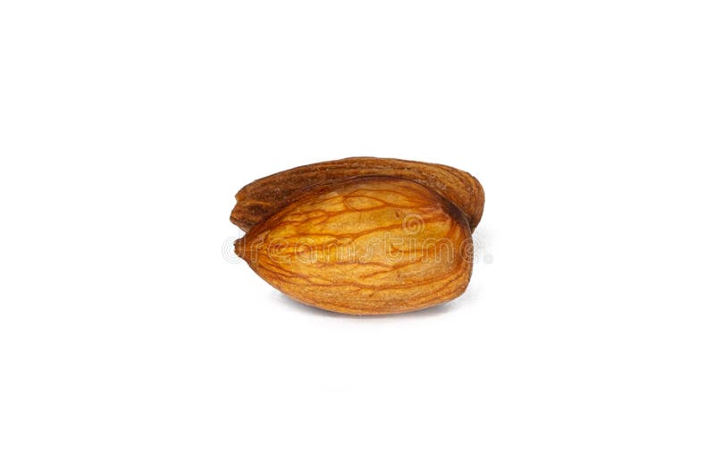 Fresh Almond Nut Seed on White Background Stock Image - Image of almond ...