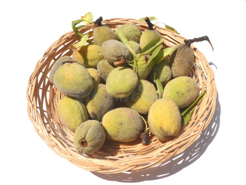 Fresh almonds stock image. Image of cuisine, diet, wealth - 25917749