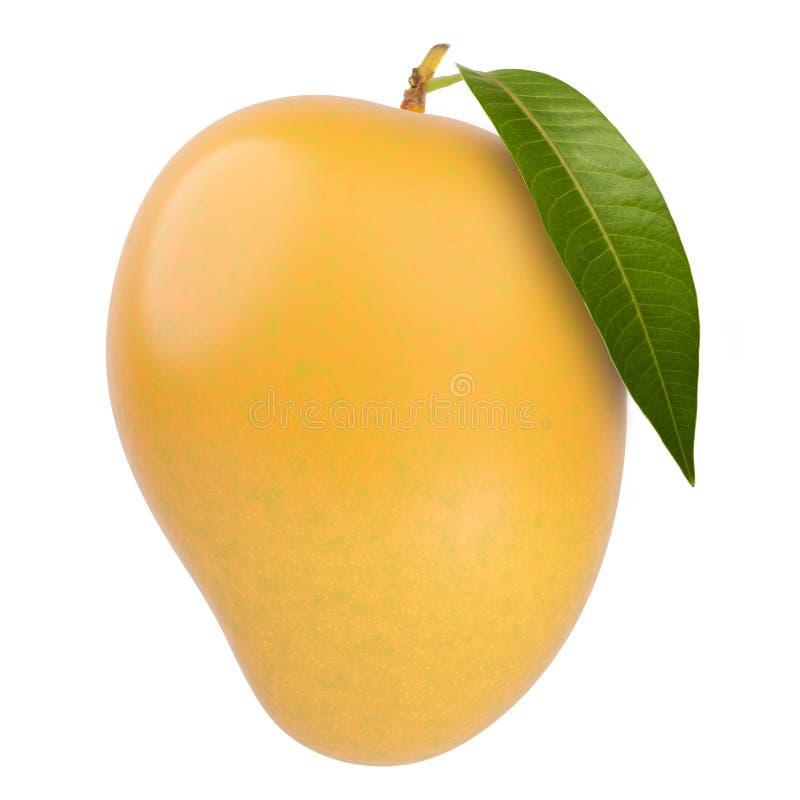 Mango Fruit Hd Wallpapers