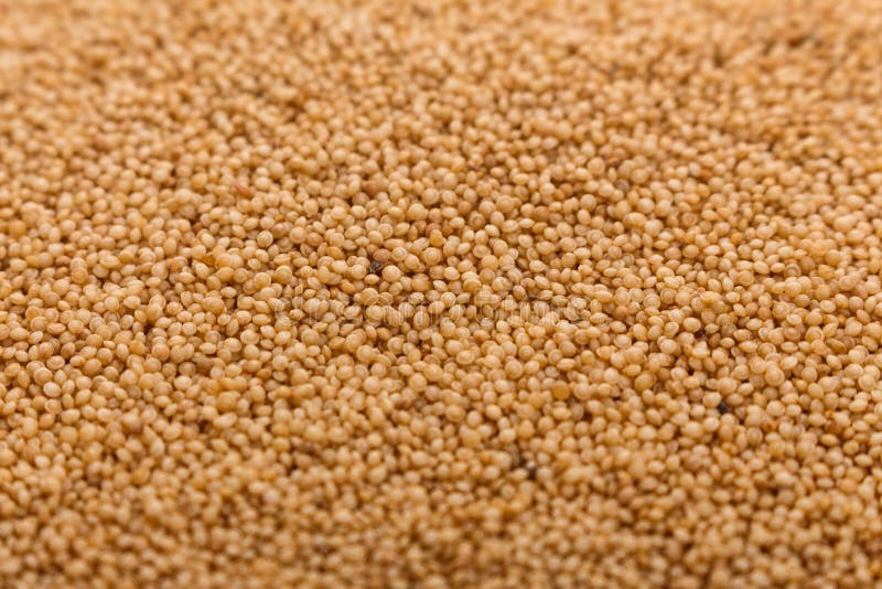Fresh Amaranth Grains on a Rustic Background Stock Image - Image of ...
