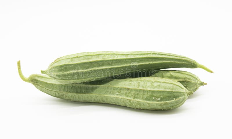 Angled Luffa Isolated on White Background Stock Image - Image of ...