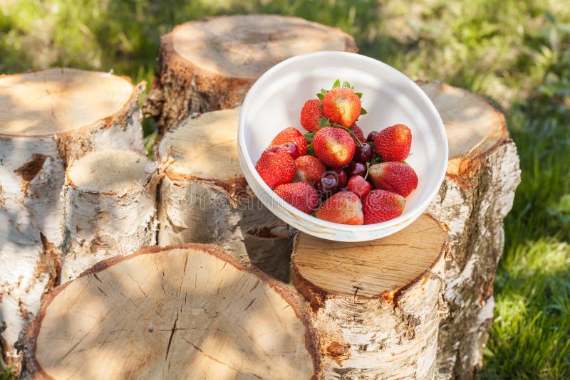 Fresh and Appetizing Strawberries with Red Cherries on Wooden Log ...