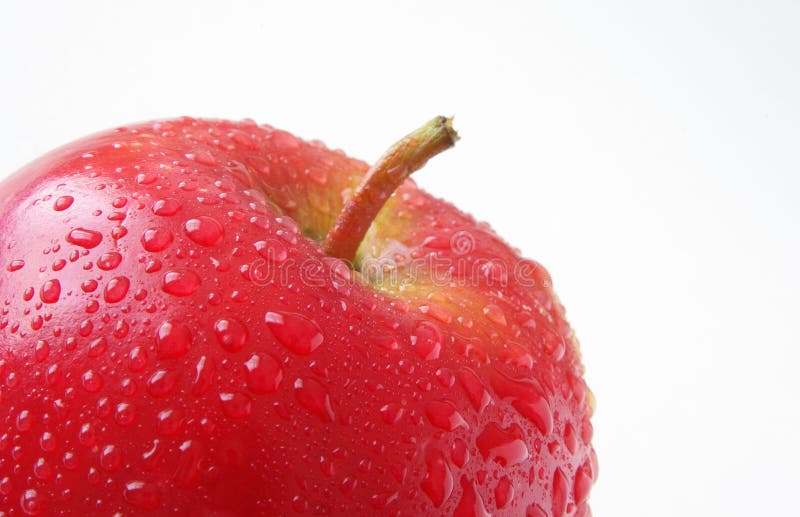 Fresh apple stock image. Image of fruit, delicious, diet - 17299591