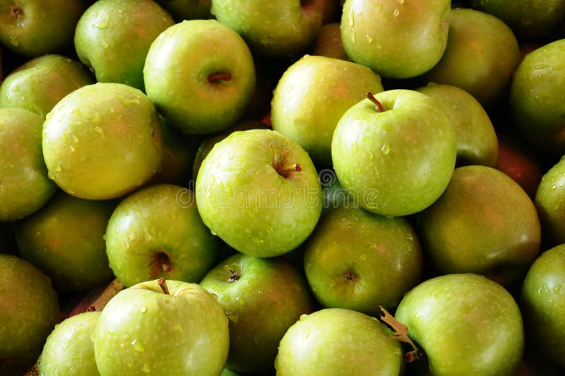 Fresh apple stock photo. Image of fresh, closeup, moistened - 24510624