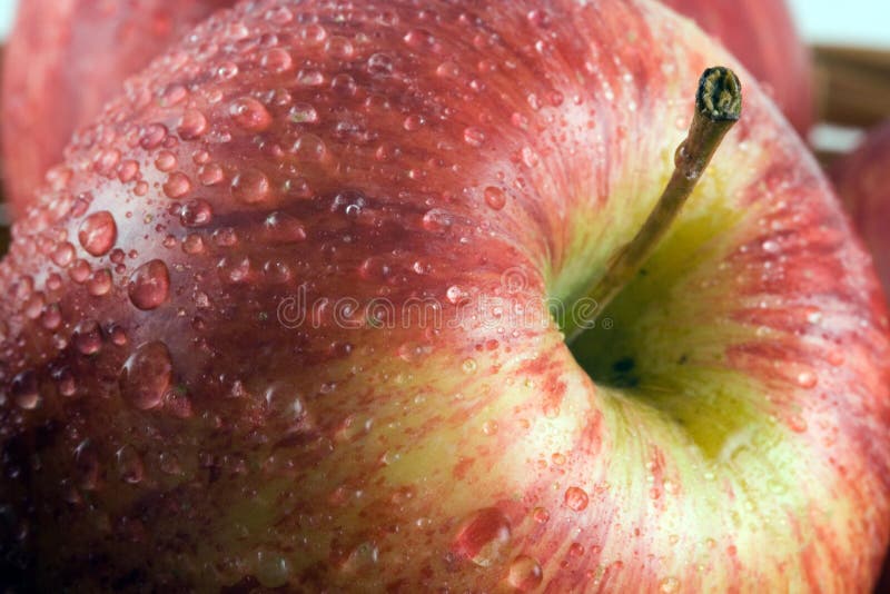 Fresh Apple stock photo. Image of granny, pippin, smith - 695726