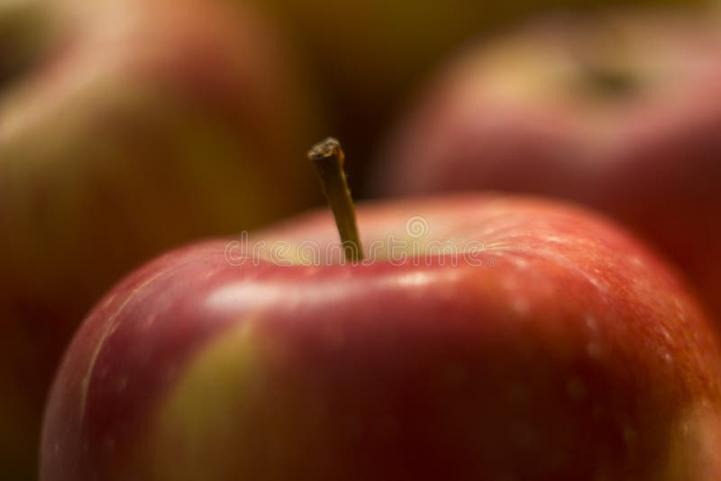 Fresh apple closeup stock photo. Image of concept, freshness - 39436432