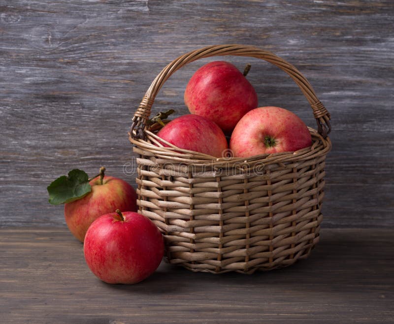 Fresh apple harvest stock image. Image of healthy, rustic - 92748861