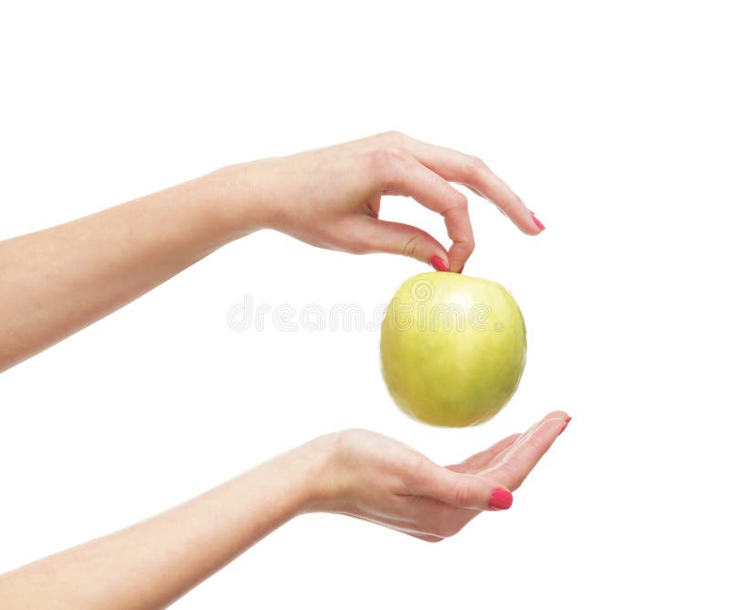 A Fresh Apple Held in Beautiful Female Hands on White Stock Photo ...