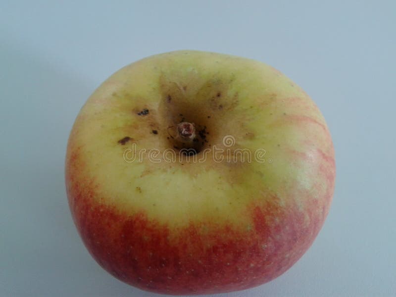 Fresh apple stock photo. Image of natural, food, fresh - 42951356