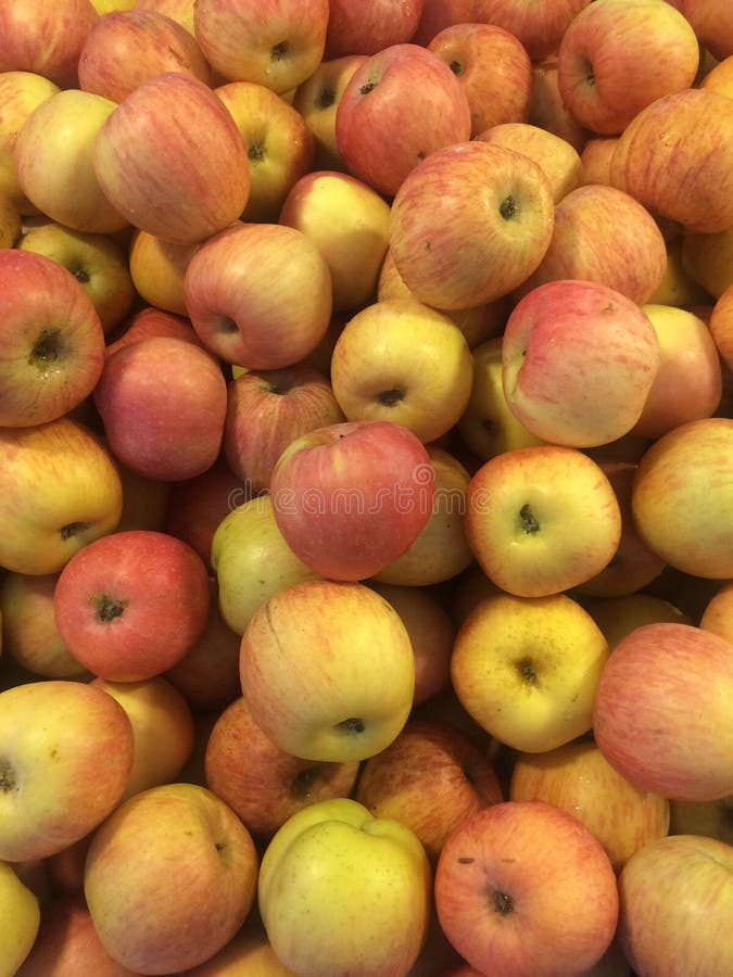 Fresh apple stock photo. Image of harvest, delicious - 84235818