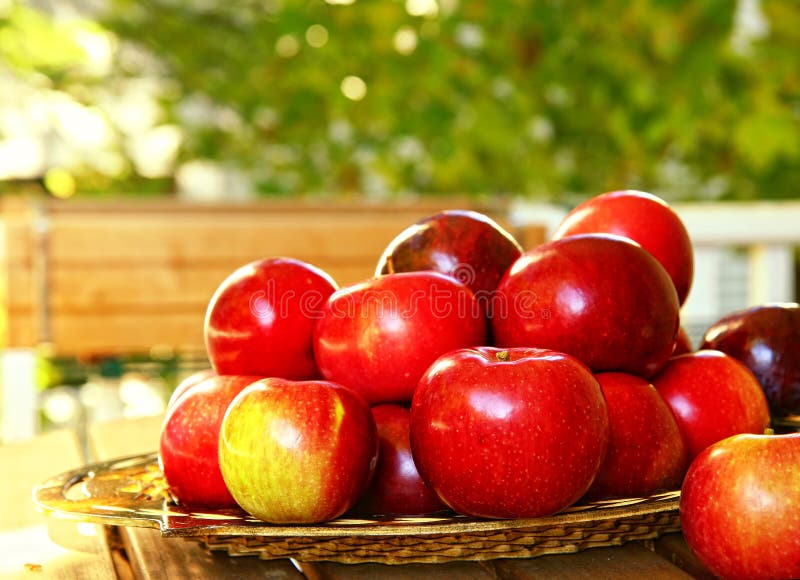 Fresh apples stock photo. Image of apples, fall, basket - 14882962
