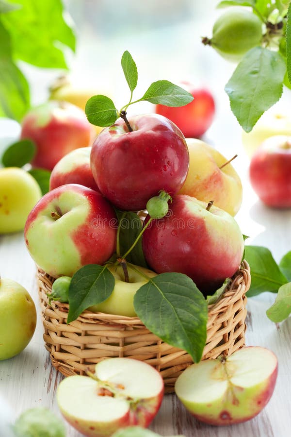 Apples in a basket stock photo. Image of lady, fresh - 20337472