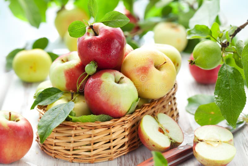 Fresh apples stock image. Image of nutrition, assortment - 20163525