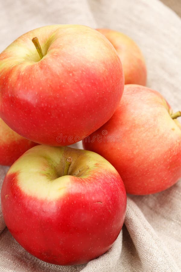 Fresh apples stock image. Image of harvest, country, meal - 21437923