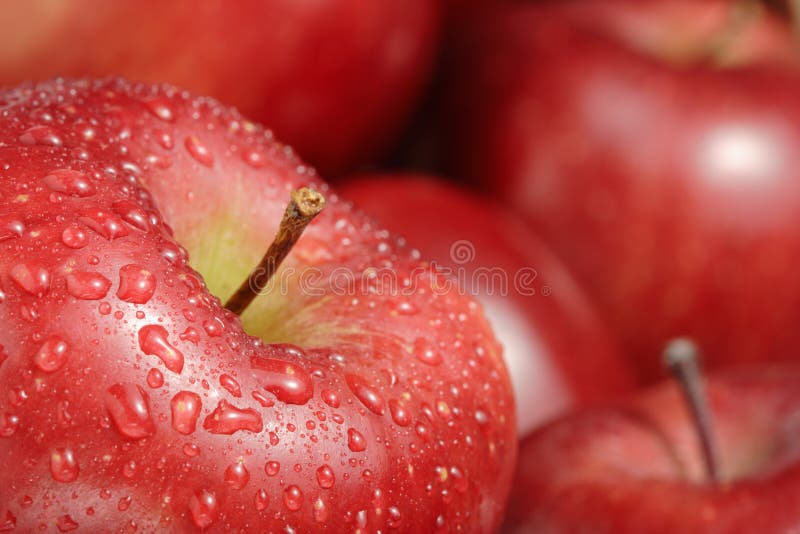 Fresh apples stock image. Image of energy, freshness, product - 2535683