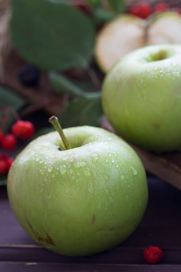 Fresh apples stock image. Image of fresh, berries, drops - 26482263
