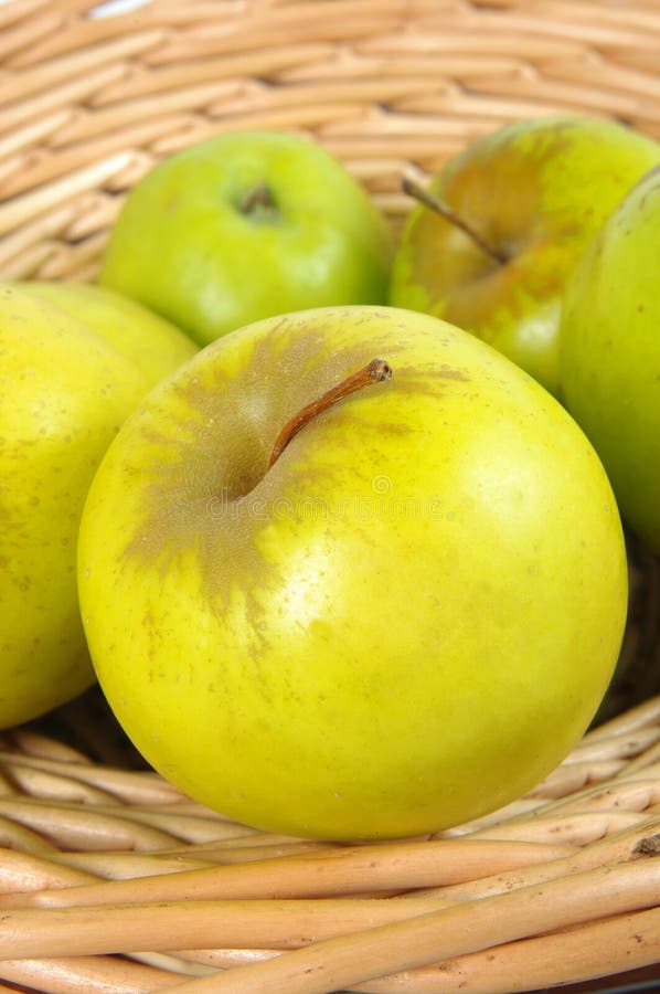 Fresh apples stock photo. Image of apple, bright, garden - 27455426