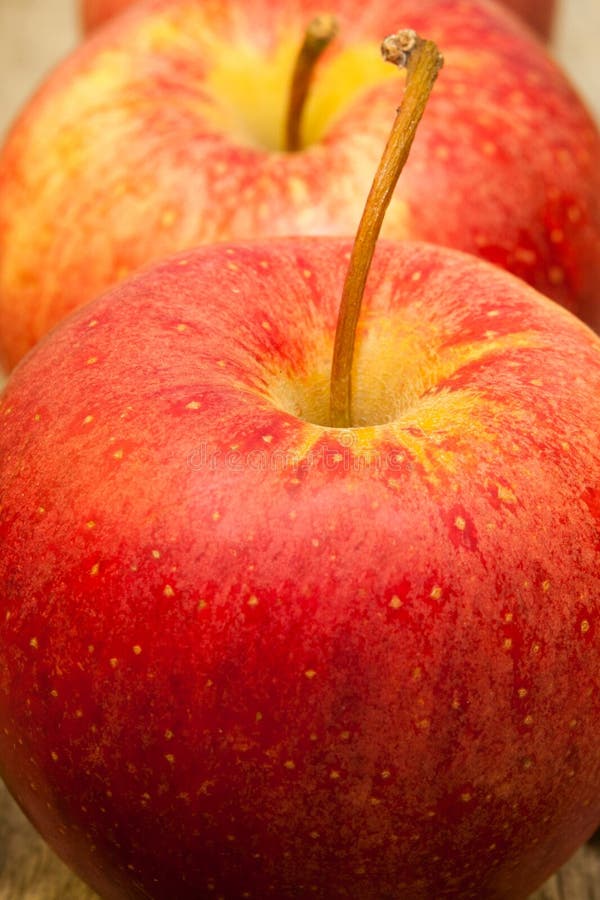 Fresh apples stock photo. Image of organic, summer, vegan - 28715904