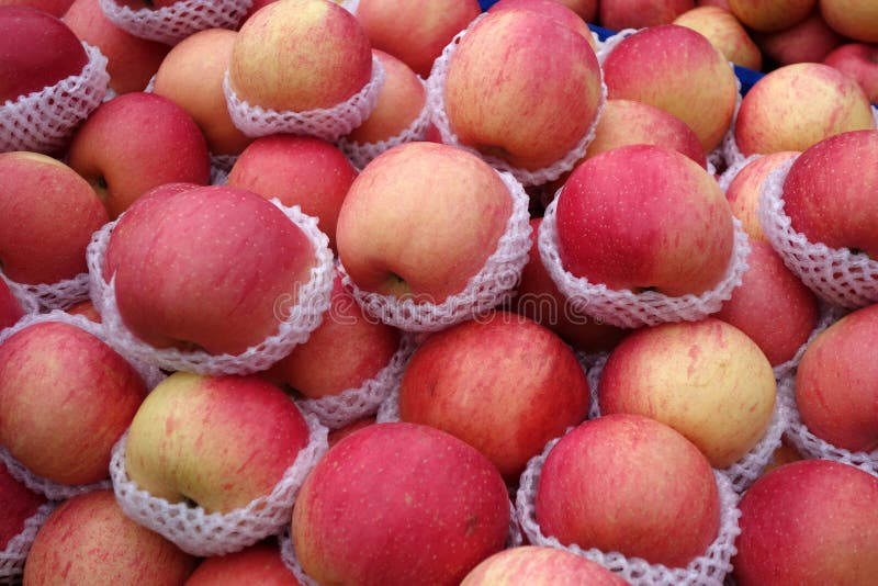 Fresh apples stock photo. Image of apples, background - 29225676