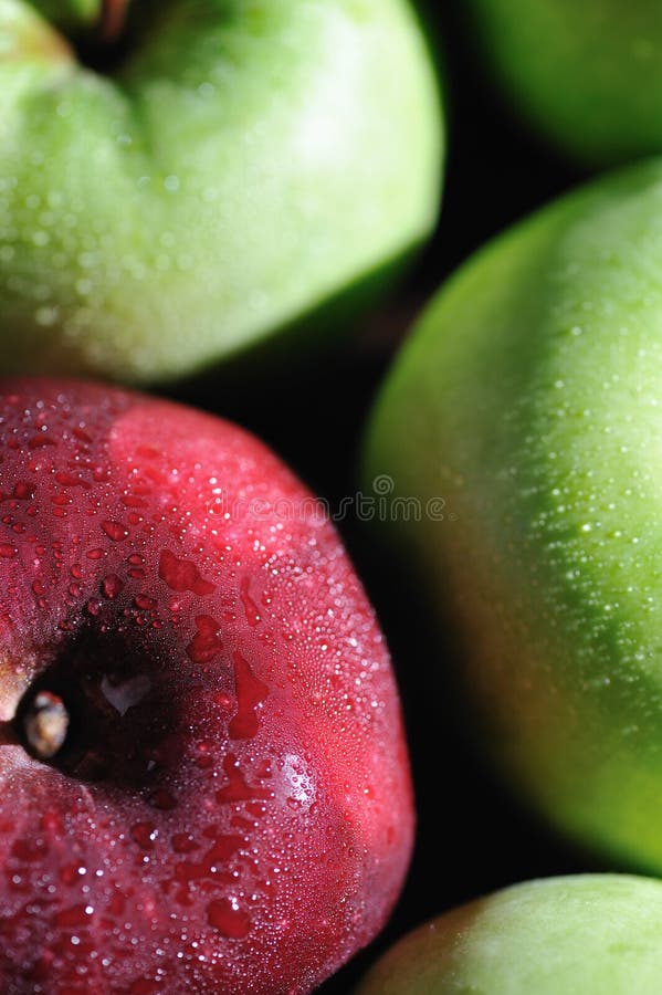 Fresh Red Apple stock photo. Image of garden, fresh, organic - 5133658