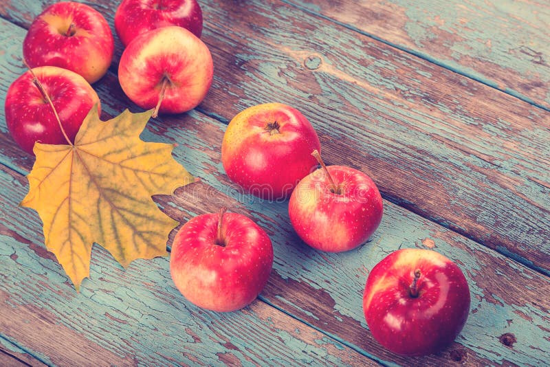 Fresh Apples and Autumn Maple Leaf. Stock Image - Image of design, leaf ...