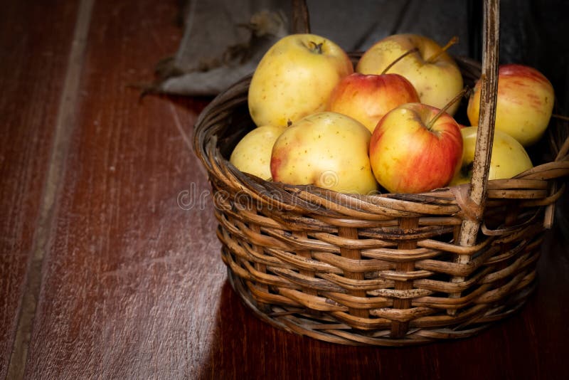 Fresh apples in the basket stock photo. Image of farm - 164040764