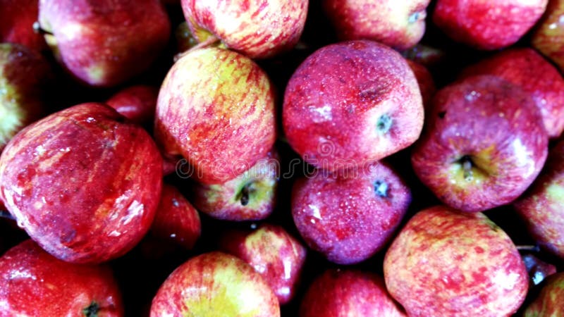 Fresh Apples in a Fruit Shop Stock Photo - Image of fruit, food: 152253846