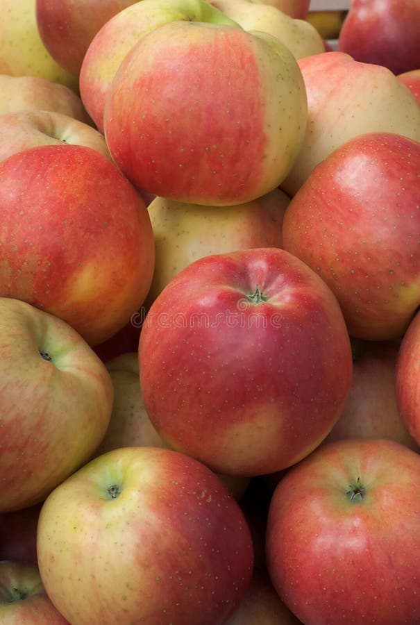 Fresh apples stock photo. Image of natural, edible, apple - 78516888