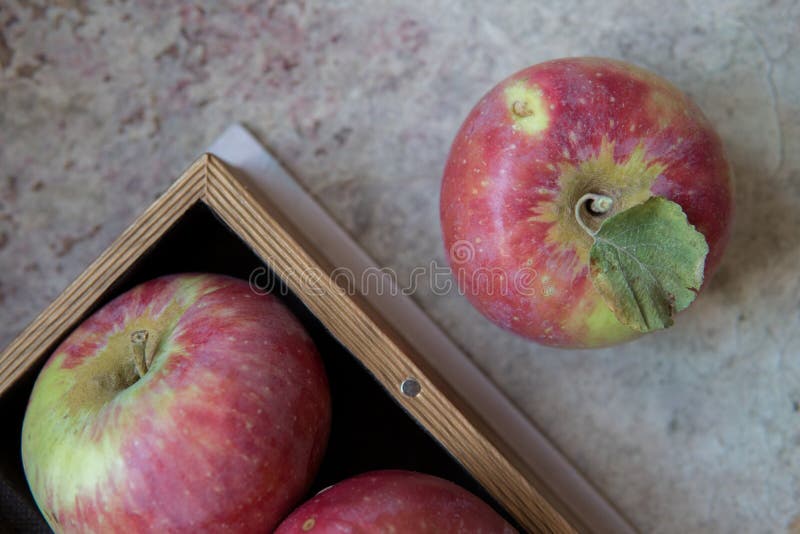 Fresh Apples with Pollen, Part of Apples in the Box Stock Photo - Image ...