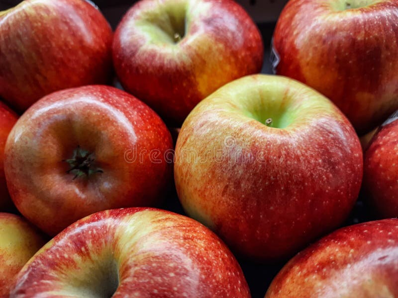 Fresh Apples Rich in Vitamin a. Close-up View Stock Photo - Image of ...