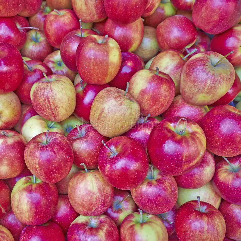Apples on Sale stock photo. Image of green, fresh, food - 63822028