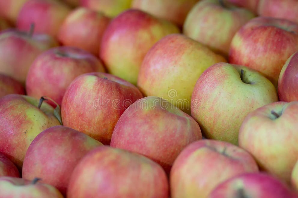 Fresh Apples on the Store Counter Stock Image - Image of drink ...